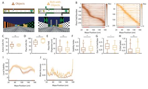 figures and data in dynamic control of hippocampal spatial coding