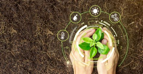 Data Management Spotteron Citizen Science