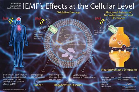 Dangers Of Emf Importance Of A Low Emf Sauna