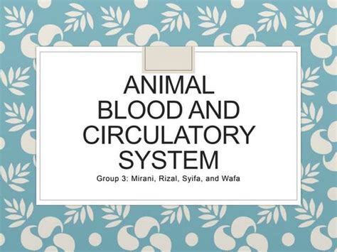 Circulatory System Of Insects Pptx