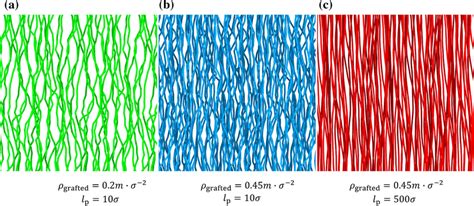 The Morphology Of Different Surface Initiated Polymer Brush Systems Download Scientific Diagram