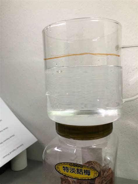 Water Level Detector Object Detection Dataset By FYP