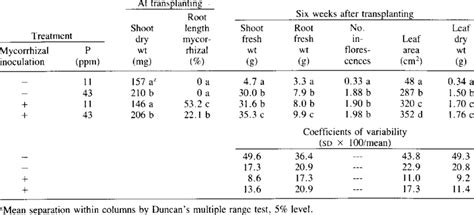 Effect Of Pretransplant Inoculation With Glomus Fasciculatum And