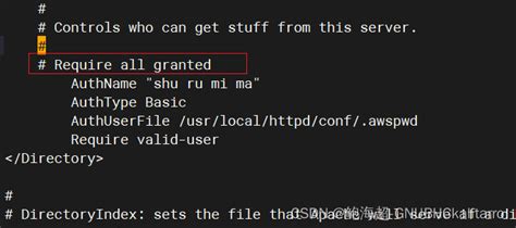 Linux：服务（apache 2457）源码编译——配置网站 入门到入土apache 源码 Csdn博客