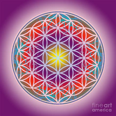 The Sacred Flower Of Life No 6 Of 10 Digital Art By Walter Neal