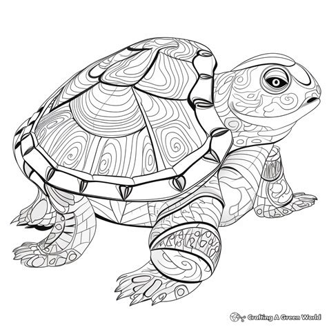 Turtle Shell Coloring Pages Free And Printable