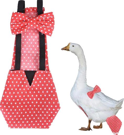 27 عکس جوجه اردک سیاه و زرد دنیای رنگارنگ و جذاب آنها