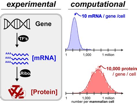 Omics Working Group Systems Modeling And Data Analytics Core