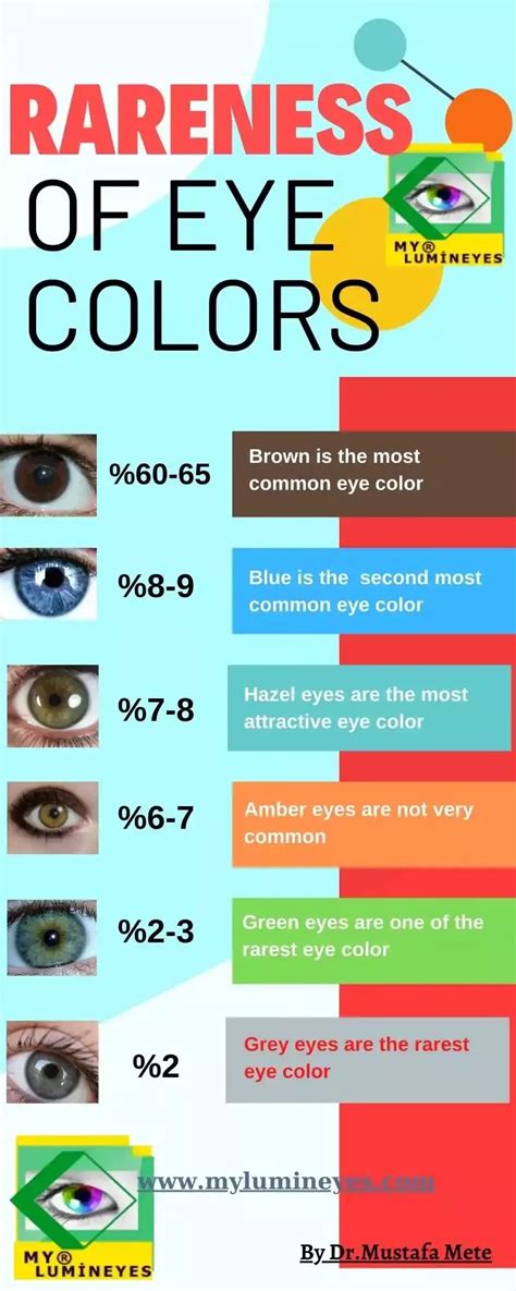 Eye Color Chart And Genetics 2025 Complete Medical Guide Meaning Of