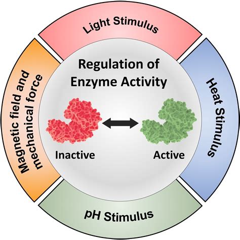 Advanced Strategies Of Enzyme Activity Regulation For Biomedical