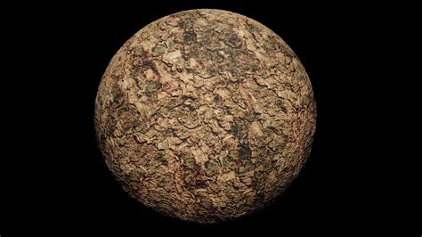 Tree Bark Pbr Texture Texture Cgtrader