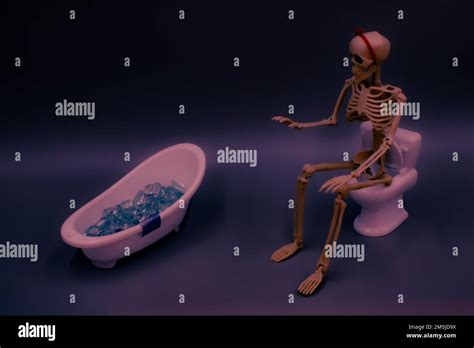 Skeleton Wearing A Red Headband With A Bow Is Sitting On A Toilet