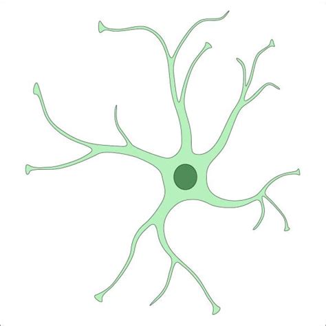 Creating A Graphical Abstract For A Neuroscience Paper Graphical Science