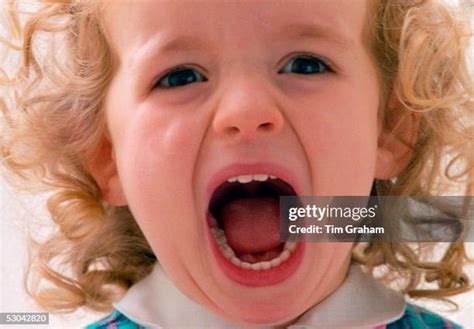 Tim Goller Photos And Premium High Res Pictures Getty Images