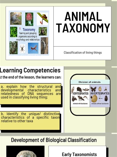 Lesson 4a Taxonomy Pdf Taxonomy Biology Species