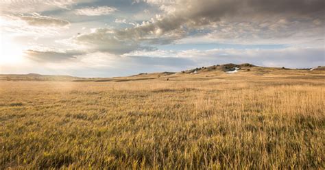 The Grasslands Are Growing Again In The Great Plains Kunc