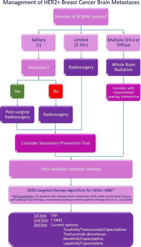 Suggested Algorithm For Multidisciplinary Management Of Care For