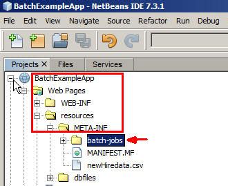 Java EE Developing A Batch Processing Application