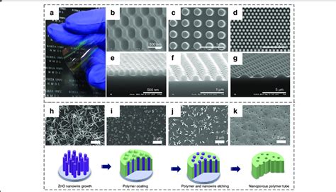Sem Images And Corresponding Schematic Representations For The Download Scientific Diagram