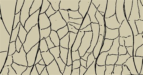 Soil Permeability Test Unlock Your Garden S Great Potential