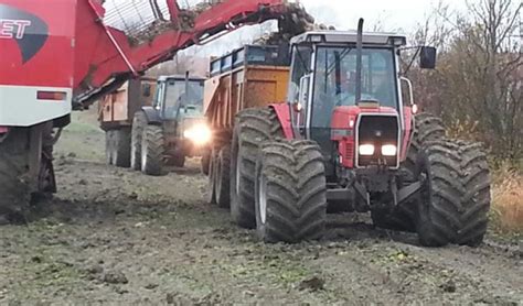Massey Ferguson 3120 Technische Daten - Österreich