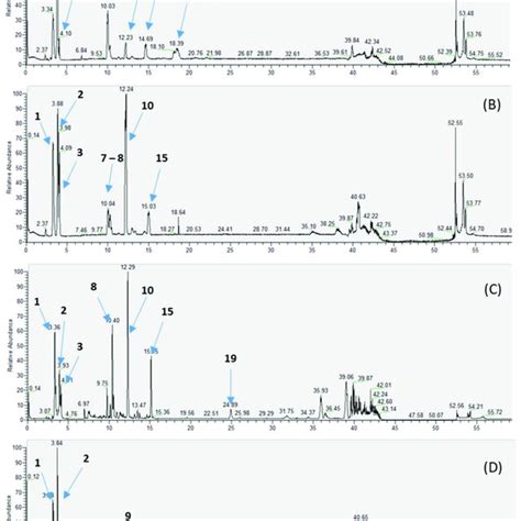 Lc Ms Chromatograms In Negative Mode Of Methanolic Extracts Of V