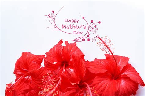 Hd Wallpaper Happy Mothers Day 4k Hd Computer Widescreen Wallpaper Flare