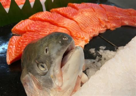 Premium Photo Close Up Of Fish In Container