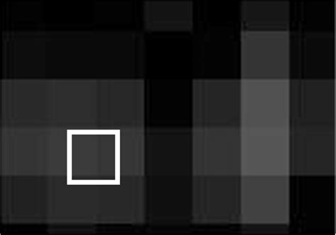 Example Of An Eye Fixation Simulation Image D Is An Example Of One Download Scientific