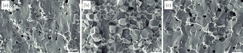 Sem Micrographs Of Pmn Xpt Ceramics Sintered At 1220°c For 2 H A Download Scientific Diagram