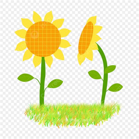손으로 그린 만화 해바라기 꽃 일러스트 요소 해바라기 클립 아트 꽃들 해바라기 Png 일러스트 및 Psd 이미지 무료 다운로드 Pngtree