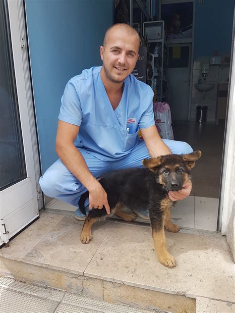 Екс бъдещият пазител Ветеринарна клиника д р Димитров