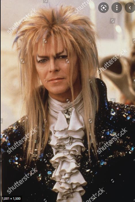 If You Look Up Sex In The Dictionary There Is A Picture Of David Bowie LadyBoners