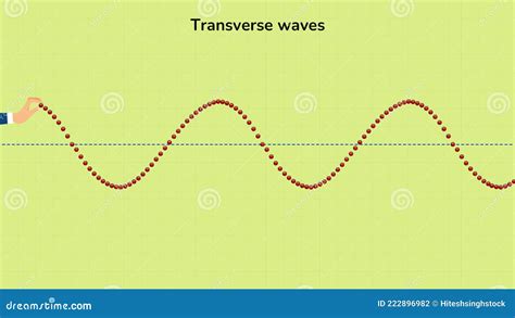Longitudinal Wave Animation