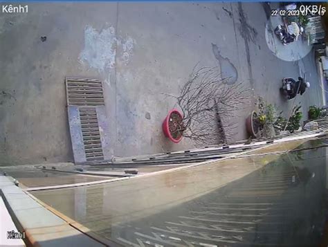 TP HCM Vào nhà đi vệ sinh bị kẻ gian lấy mất xe máy SH Mode