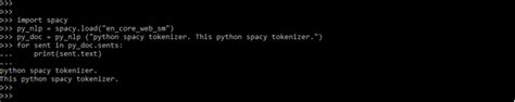 SpaCy Tokenizer What Is SpaCy Tokenizer Examples