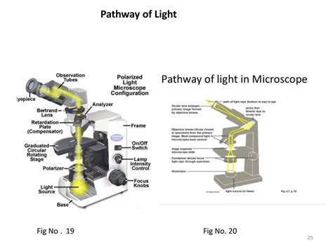 Polarising Microscope Pptx Cameras And Camcorders Consumer Electronics