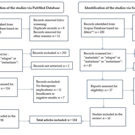 comprehensive review flow diagram filters applied for pubmed