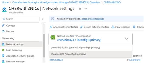 Registering An Edge Router Having Multiple NICs NetFoundry