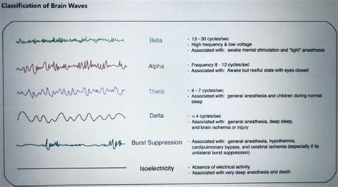Apex Equipment And Monitoring Flashcards Quizlet
