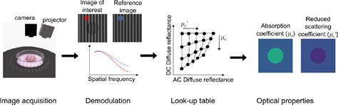 Designing And Simulating Realistic Spatial Frequency Domain Imaging
