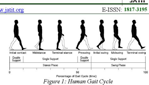 Figure 1 From Upper Gait Analysis For Human Identification Using Convolutional Recurrent