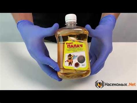 Самое эффективное средство от постельных клопов ПАЛАЧ - YouTube