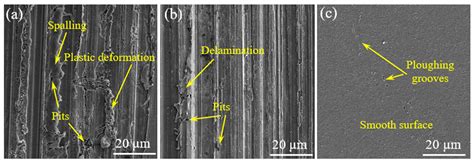 Coatings Free Full Text The Effect Of An Ultrasonic Field On The Microstructure And