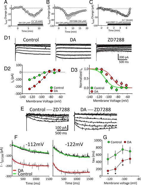 Da Enhancement Of Hyperpolarization Activated Cation Current In Mlhb