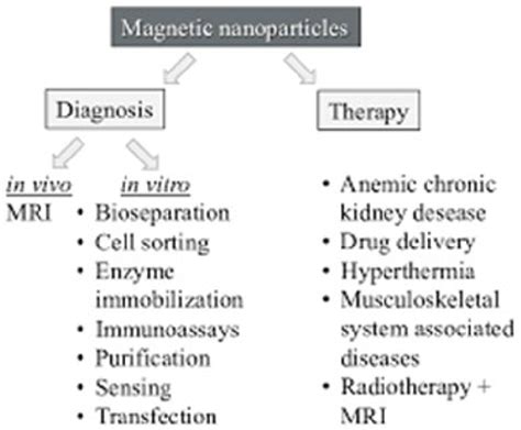 Magnetic Nanoparticles Download Scientific Diagram