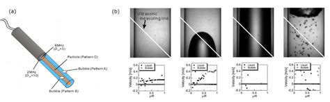 Separation Of Particle And Bubble Echo Signals Proposed By Murakawa Et Download Scientific