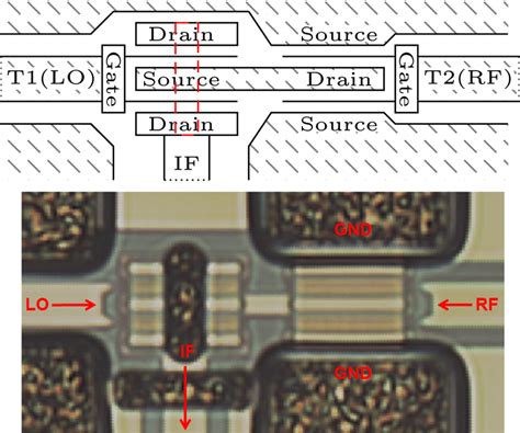 The Simplified Schematic Of The Double Transistor Cell Top And A Download Scientific Diagram