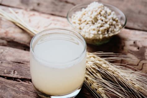 물대신 마시는 차 보리차 네이버 블로그