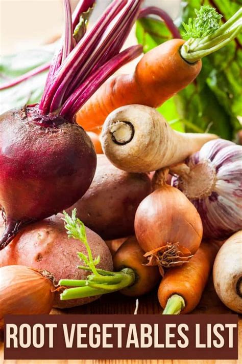 Root Vegetables List 15 Favorites With Pictures
